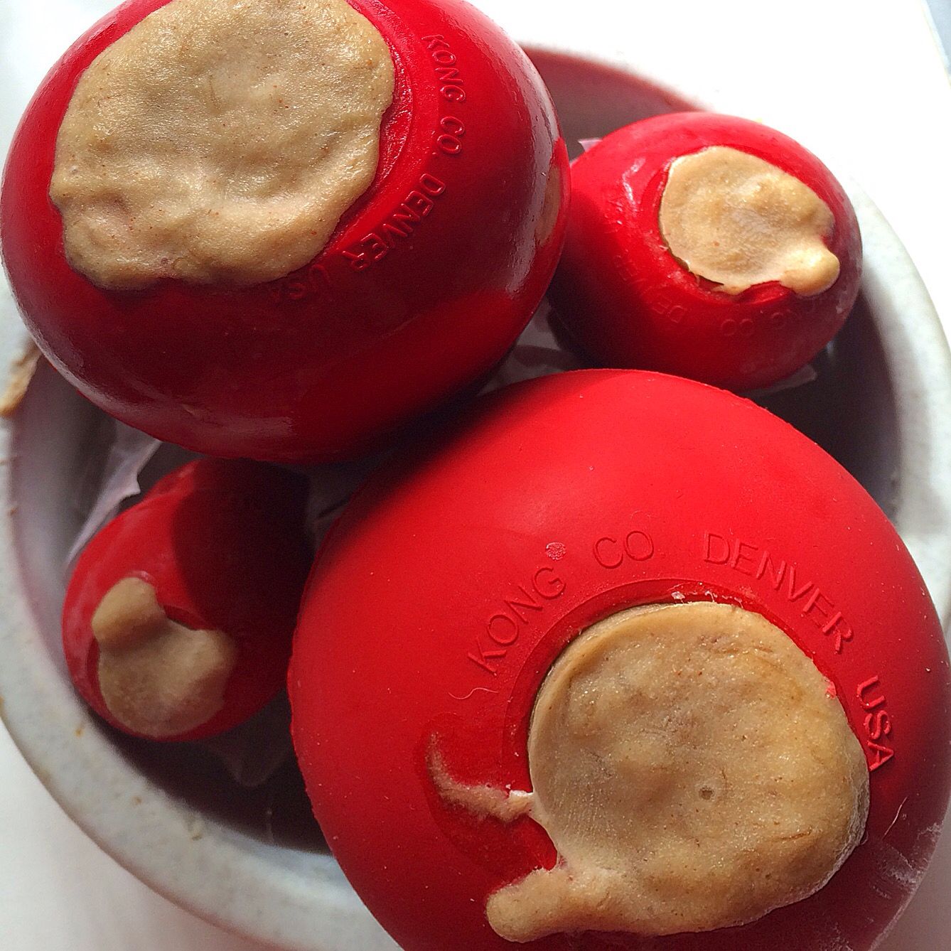 STUFFED KONG - WAGS Canine Retreat